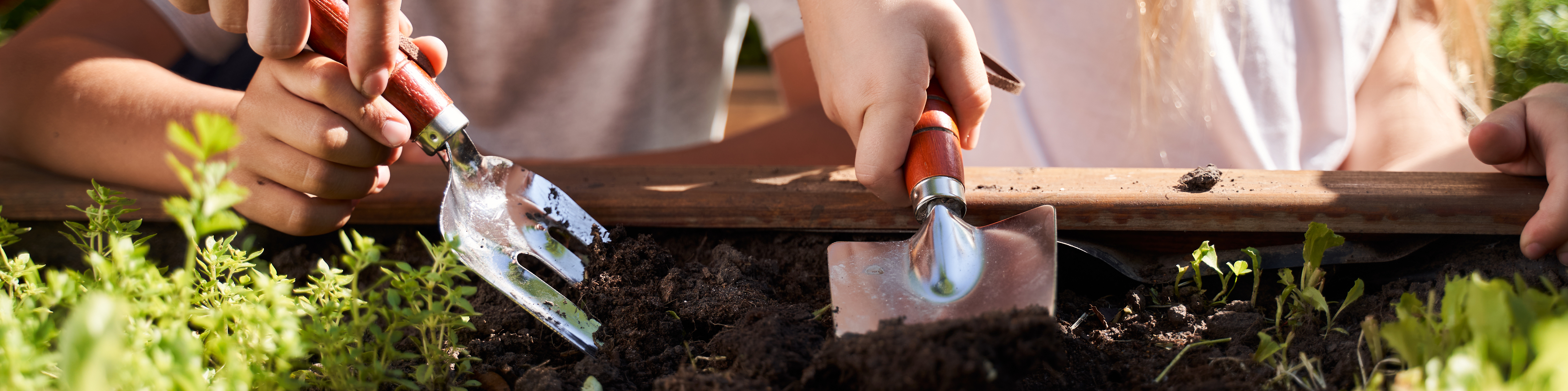 Waterwise Planting | Maple Ridge, BC