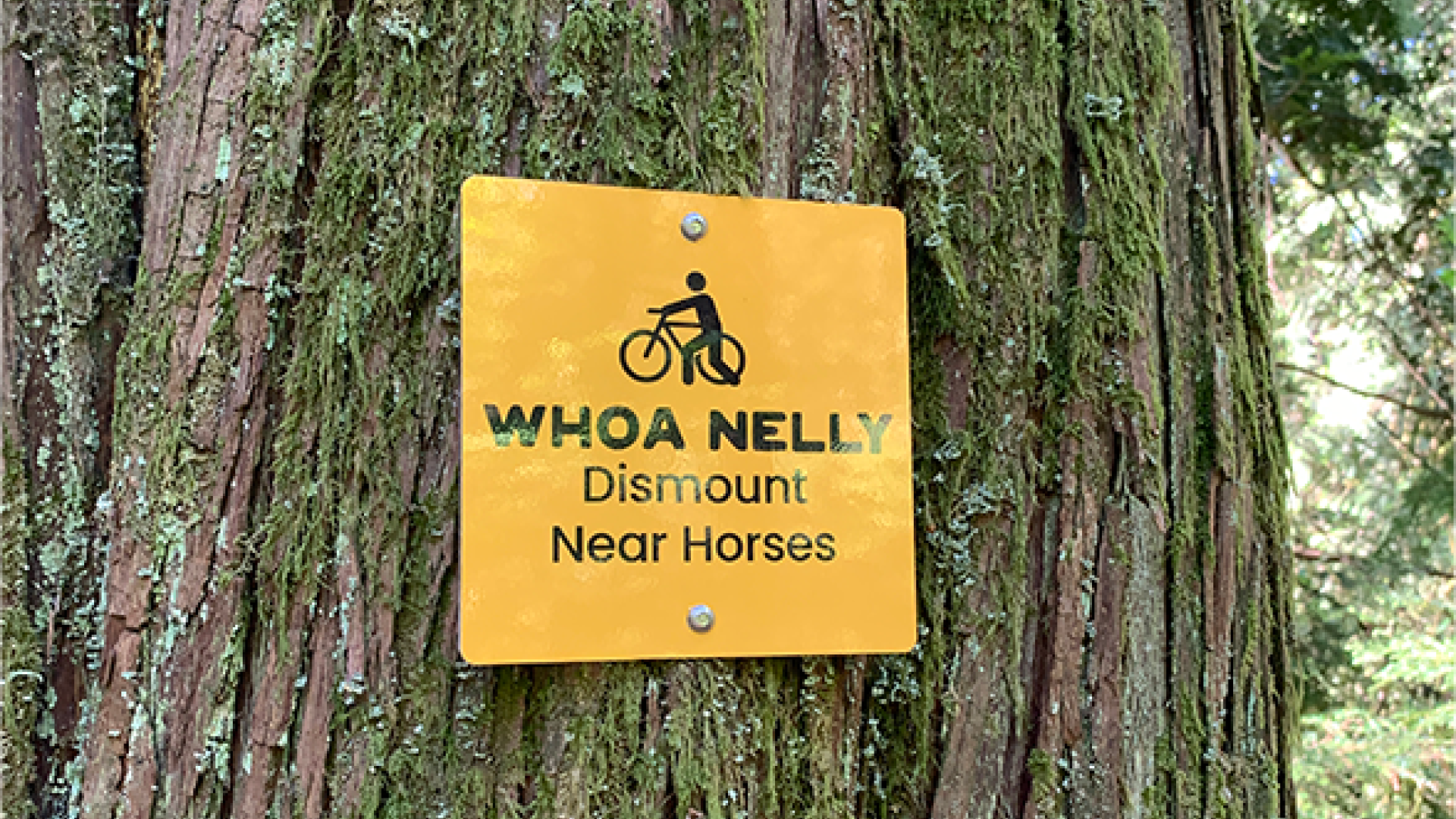 Thornhill Trails | Maple Ridge, BC