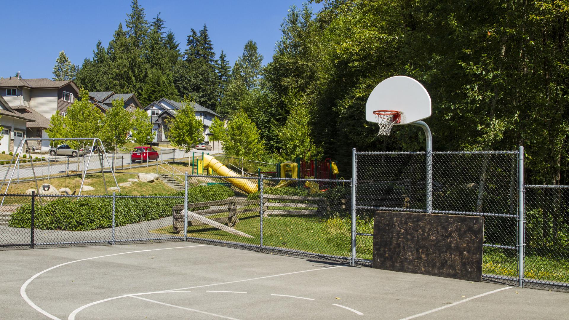 Red Alder Park | Maple Ridge, BC