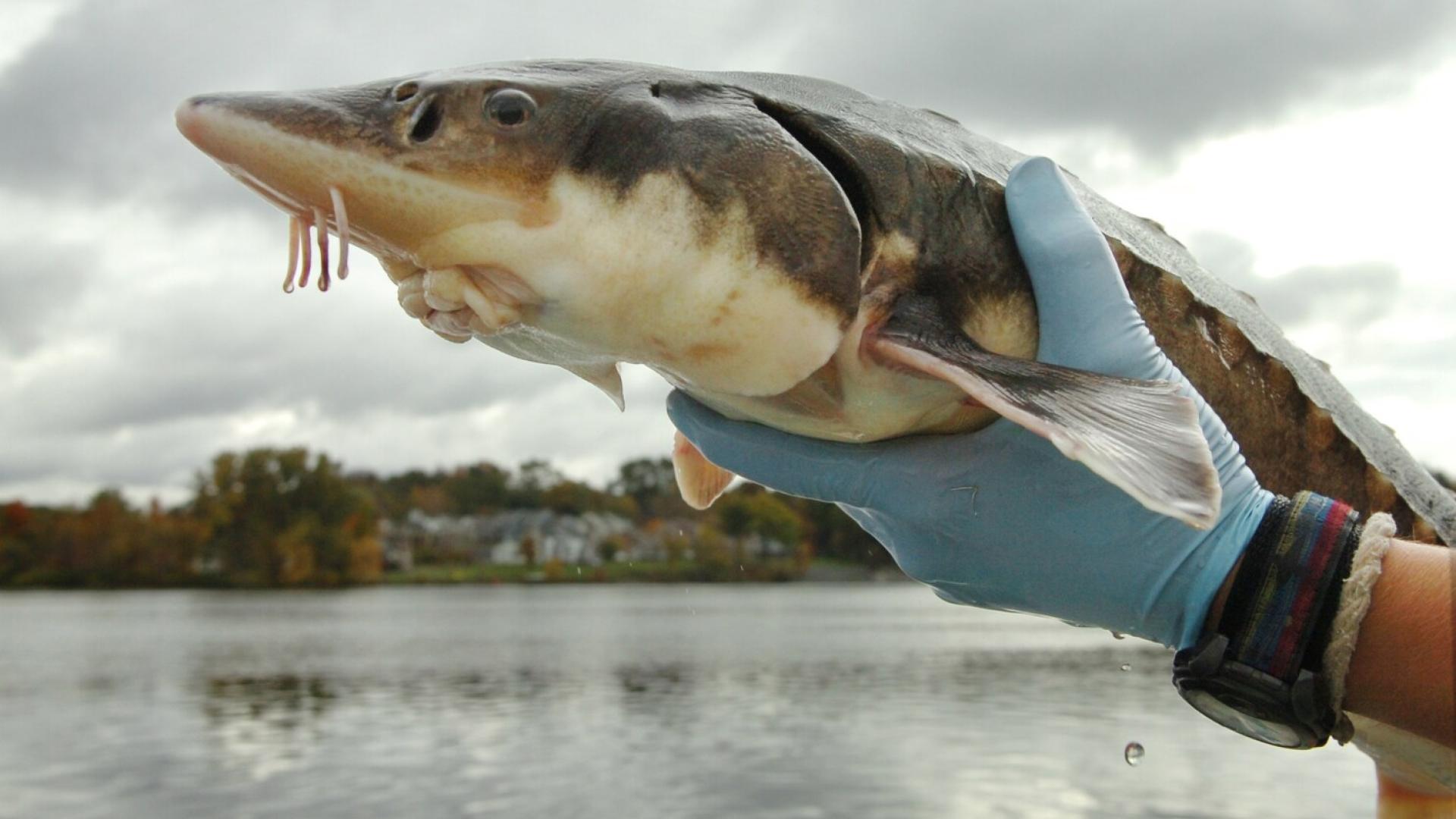 Things to Do in Maple Ridge | Maple Ridge, BC